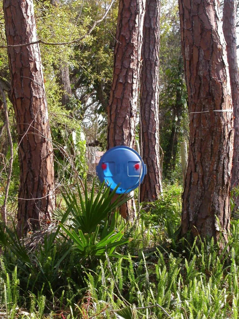 Natural Surveillance – New Public Sites